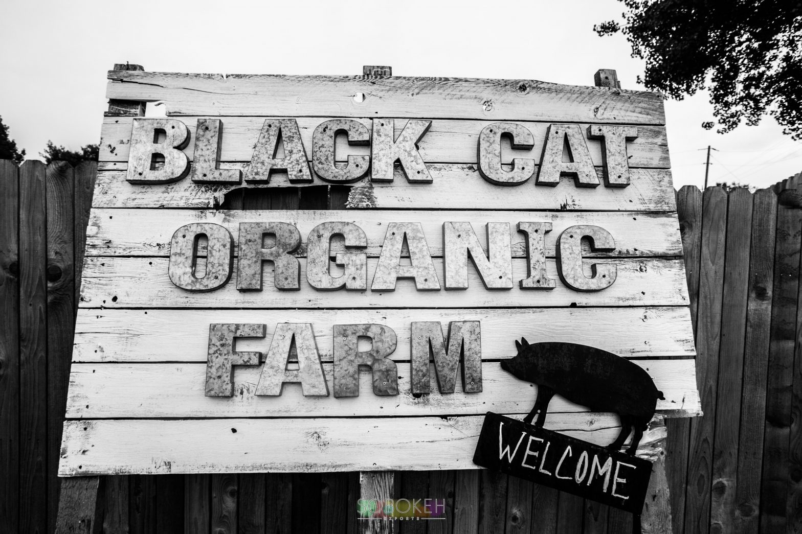 Farm Dinner Benefit at Black Cat Farm • Flatirons Food Film Festival